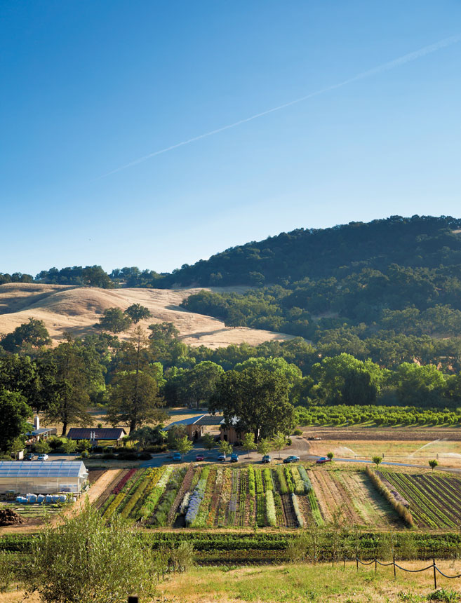 Front Porch Farm Brings to Life Integrated Regenerative Farming