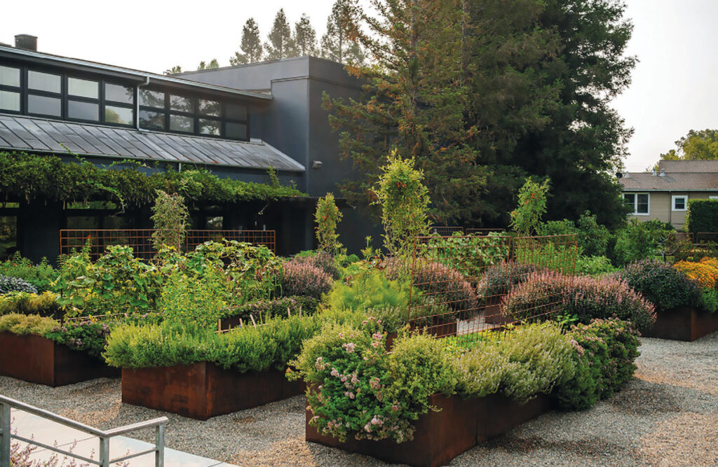 The Art of Edible Gardens - Edible Marin & Wine Country